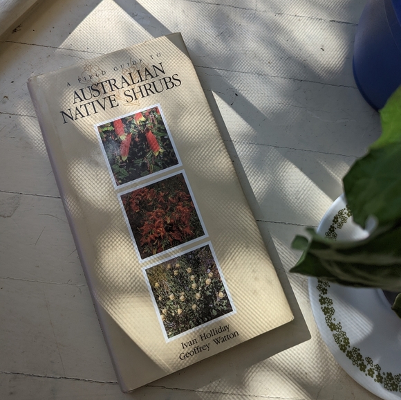 Hamlyn Australia | Other | A Field Guide To Australian Native Shrubs ...